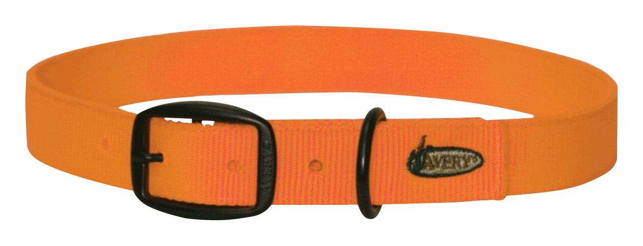 Avery Hunting Dog Collar | Bass Pro Shops